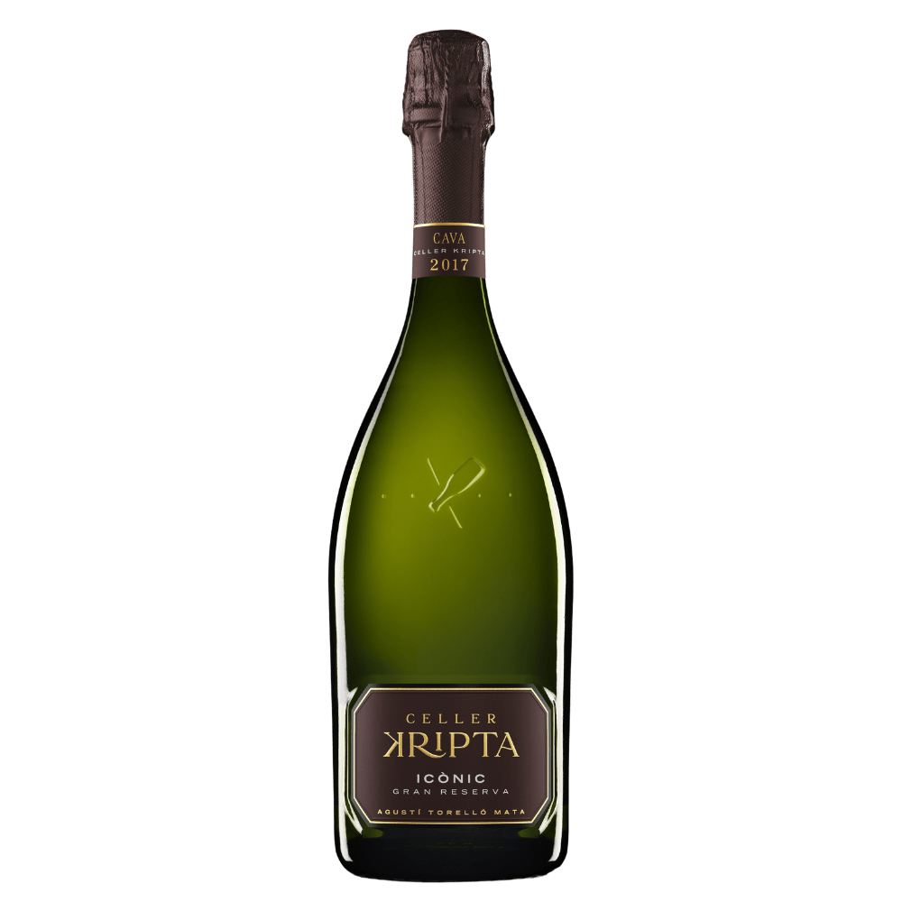 Blog- Elaboración de Vinos Espumosos: Proceso y Secretos